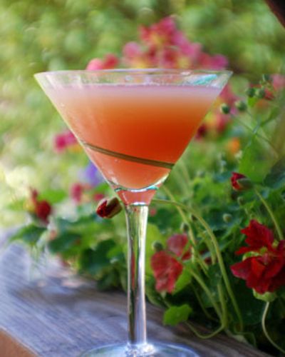 Cool Drink Recipes for Summer - 15 Refreshing Cocktails! - Forkly