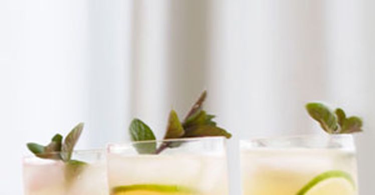 Cool Drink Recipes for Summer - 15 Refreshing Cocktails! - Forkly