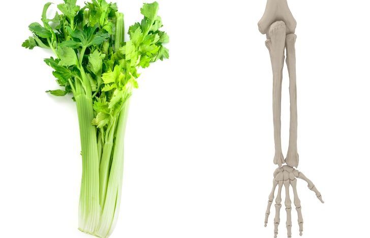 16 Foods That Look Like The Body Part They're Good For - Forkly
