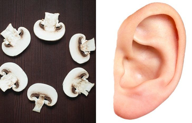 16 Foods That Look Like The Body Part They're Good For - Forkly