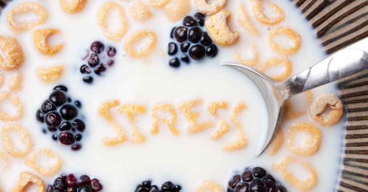 Foods That May Help Reduce Anxiety & Stress - Forkly