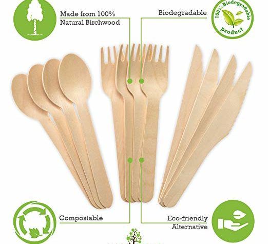 Sustainable Lunchboxes: Eco-Friendly Items For Back To School - Forkly